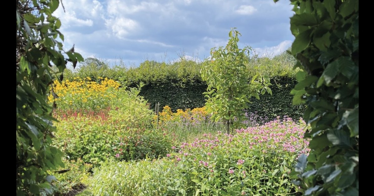 De Glinstertuin | Velt